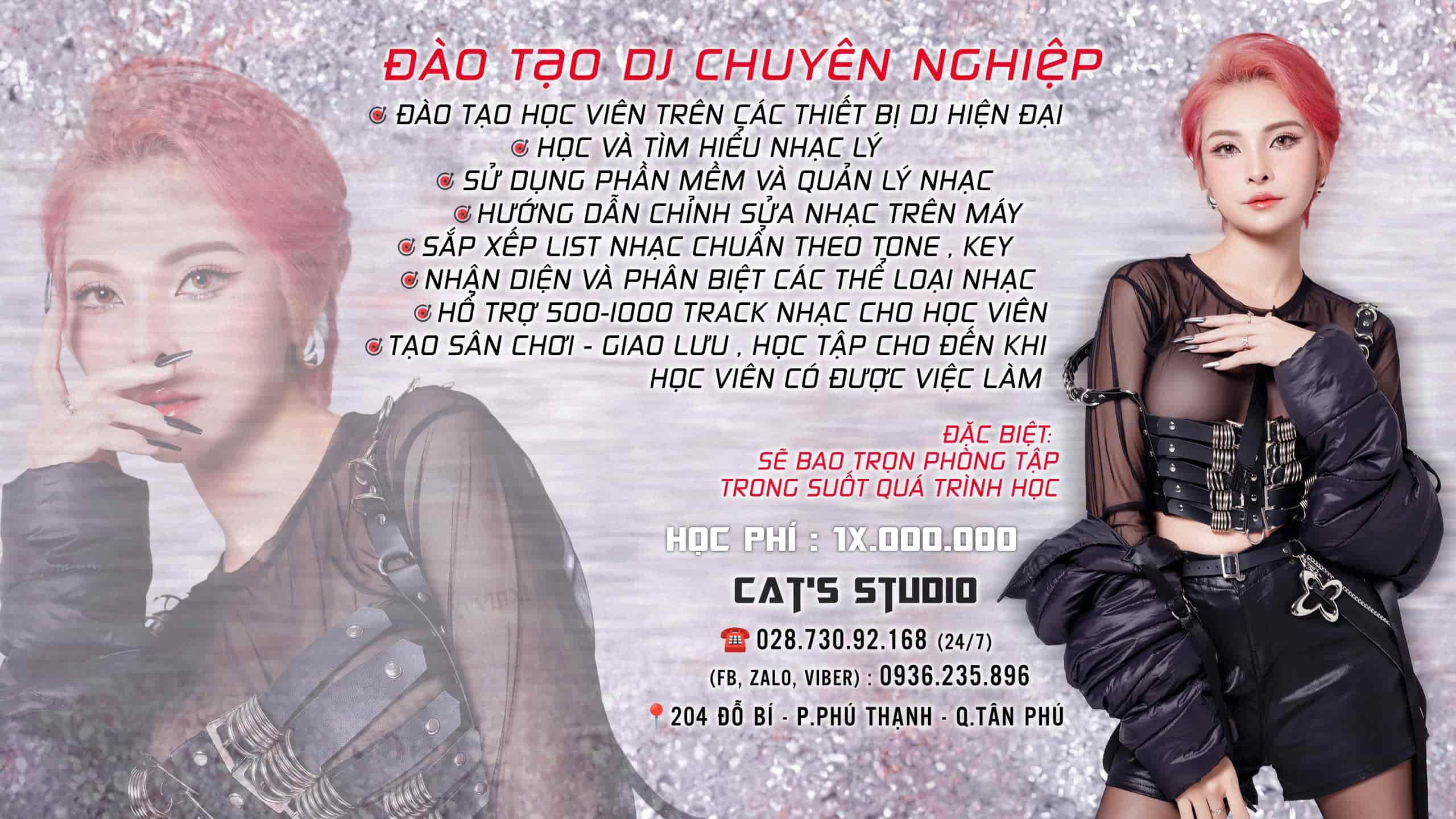 Linh hồn của Cat’s Studio – DJ Tracy Cat: Sự kết hợp hoàn hảo giữa tài ...